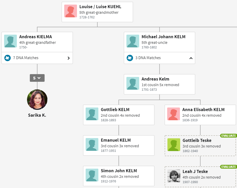 Linking the Netzbruch and Borki Kelms – Kelm History Blog